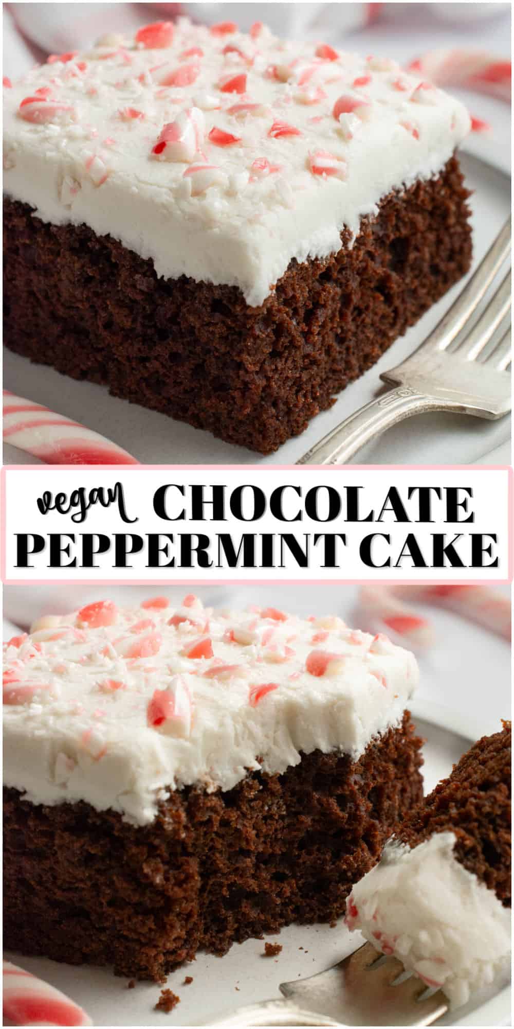 Vegan Chocolate Peppermint Cake | Where You Get Your Protein